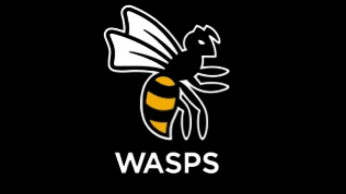 Wasps to return in the championship next season - The Coventry Observer