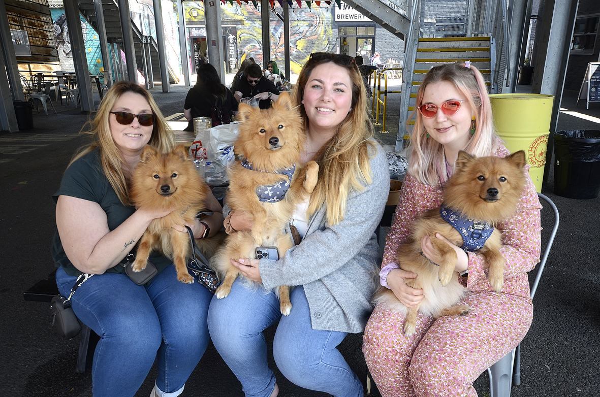 IN PICTURES- Tail wagging fun at Coventry's FarGo dogfest - The ...